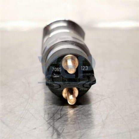 5263262 0445120123 Diesel Fuel Injector Cummins 6D107 QSB6.7 Engine PC ...